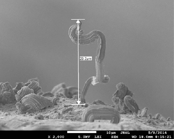 Tin Whiskers Revelations: Part III | AIM Solder